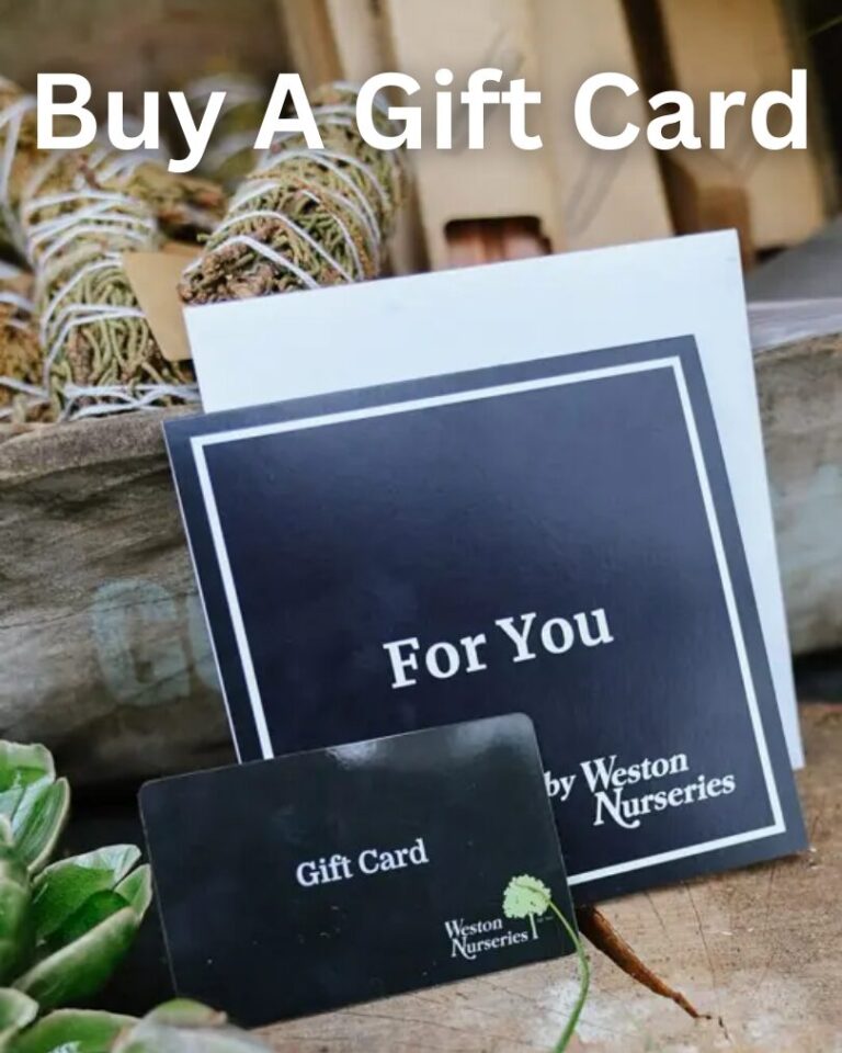 Weston Nurseries - Premium Plant, Garden and Landscape Supply