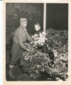 About Us - Weston Nurseries