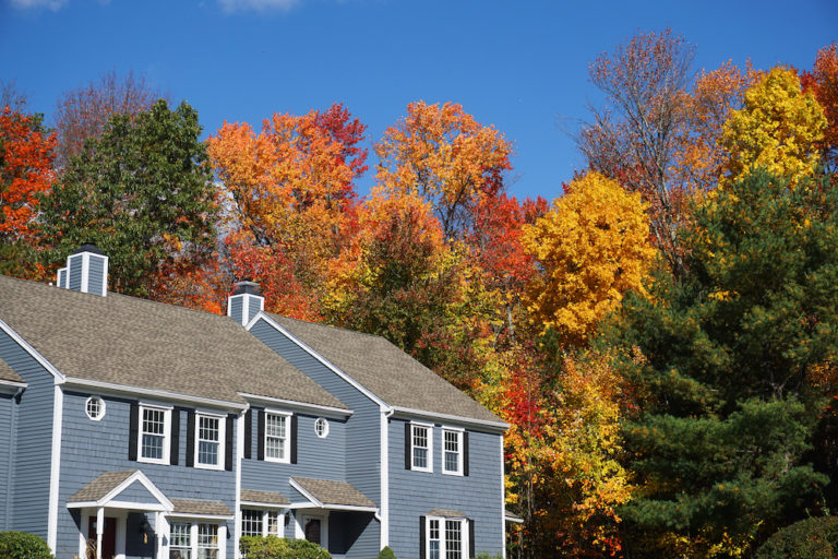 Weston Nurseries - Premium Plant, Garden and Landscape Supply