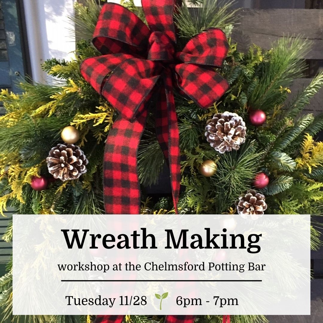 Wreath Making - Chelmsford - Weston Nurseries