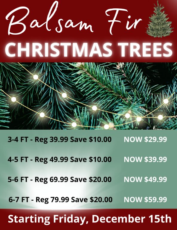 Weston Nurseries - Premium Plant, Garden and Landscape Supply