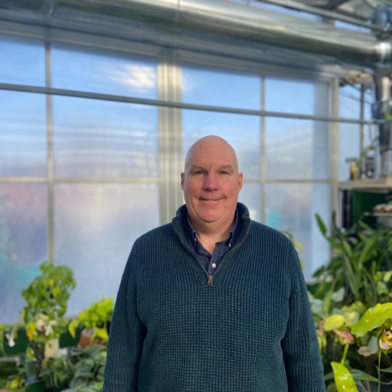 Chelmsford - Weston Nurseries