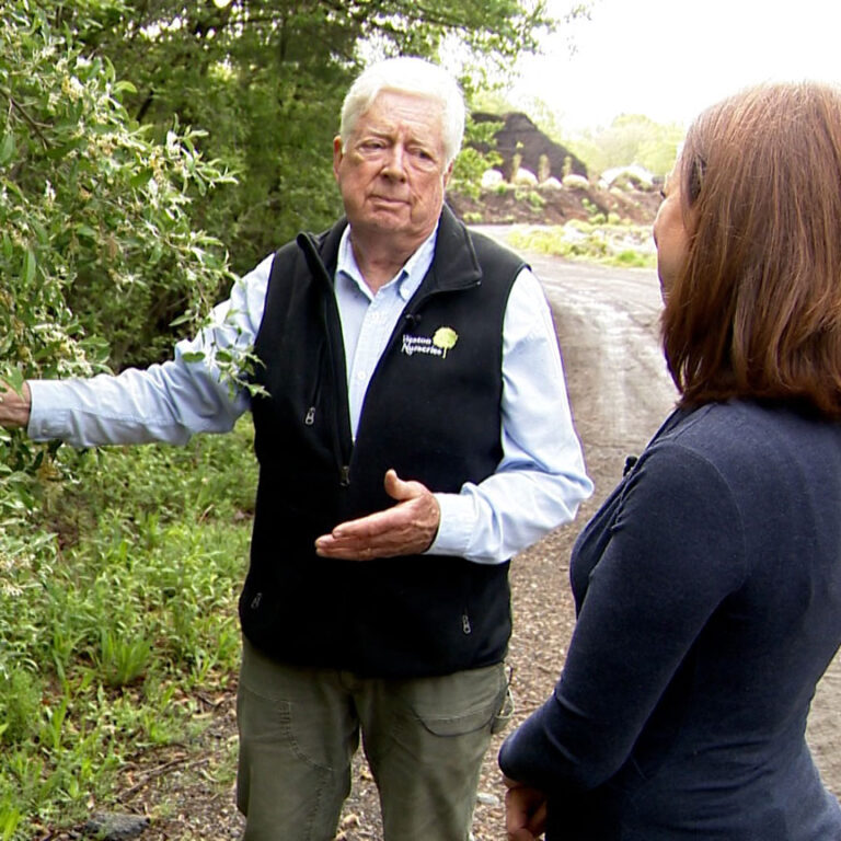 Our Blog - Weston Nurseries