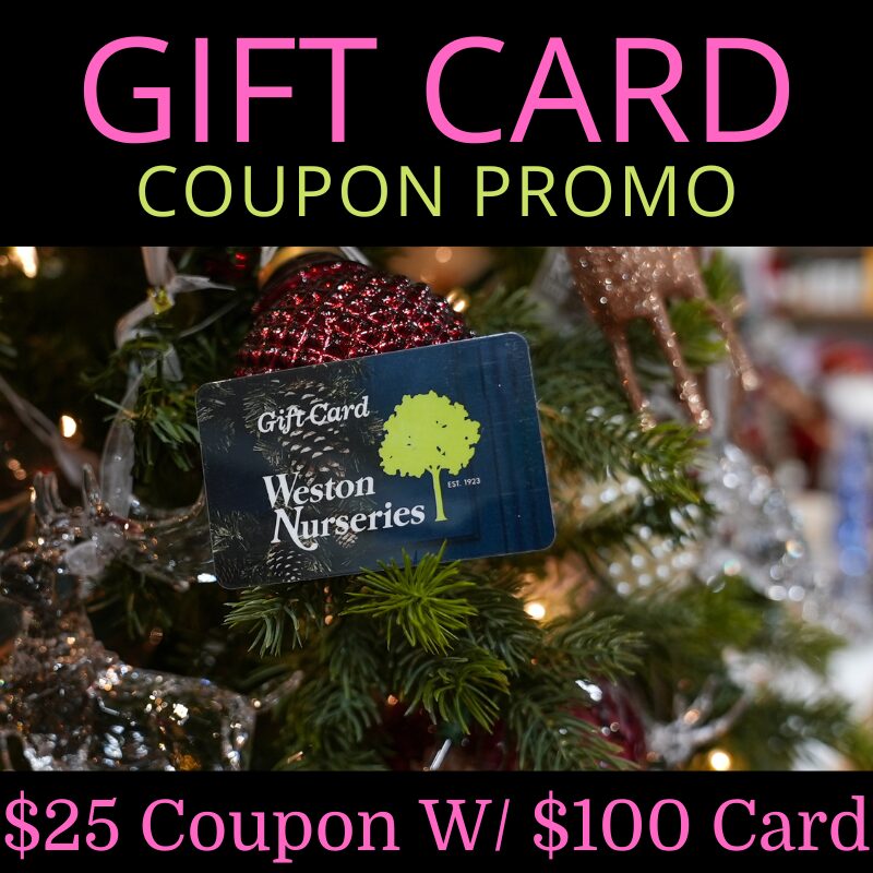 Sales - Weston Nurseries