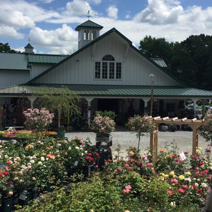 Chelmsford - Weston Nurseries
